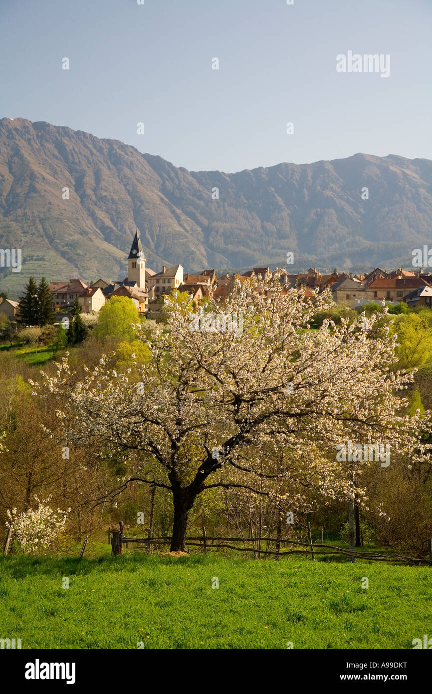spring countryside near St. Bonnet, Haute Alpes region, France Stock ...