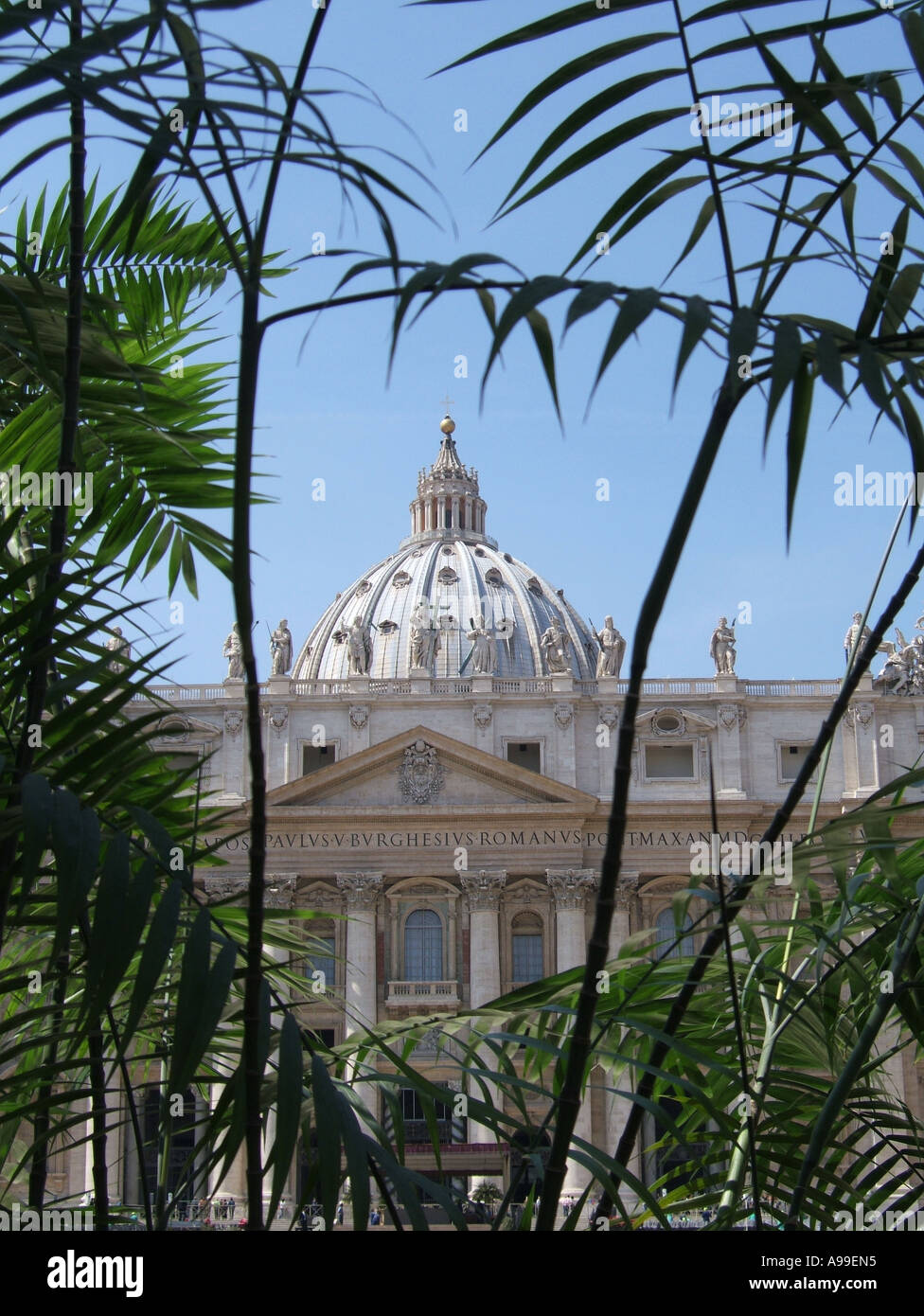 st peters basilica in rome and branches Stock Photo - Alamy