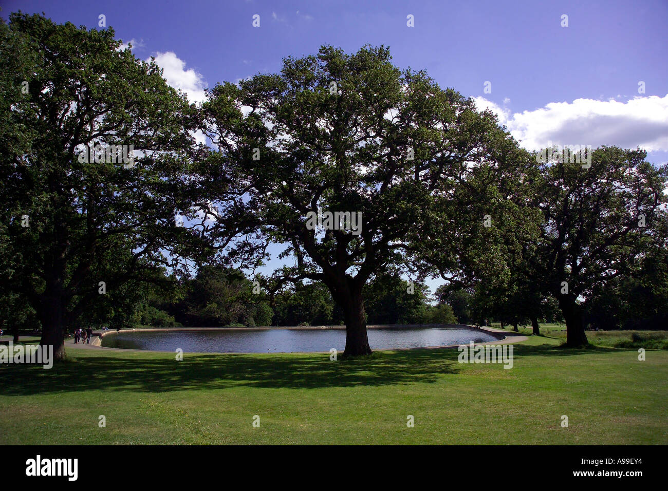 Southampton common path hi-res stock photography and images - Alamy