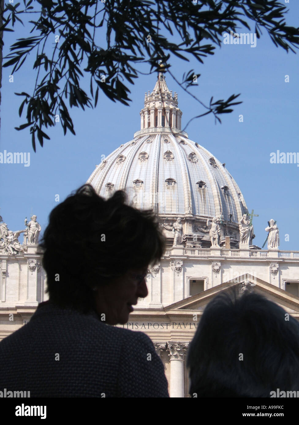 st peters basilica rome with olive tree Stock Photo - Alamy
