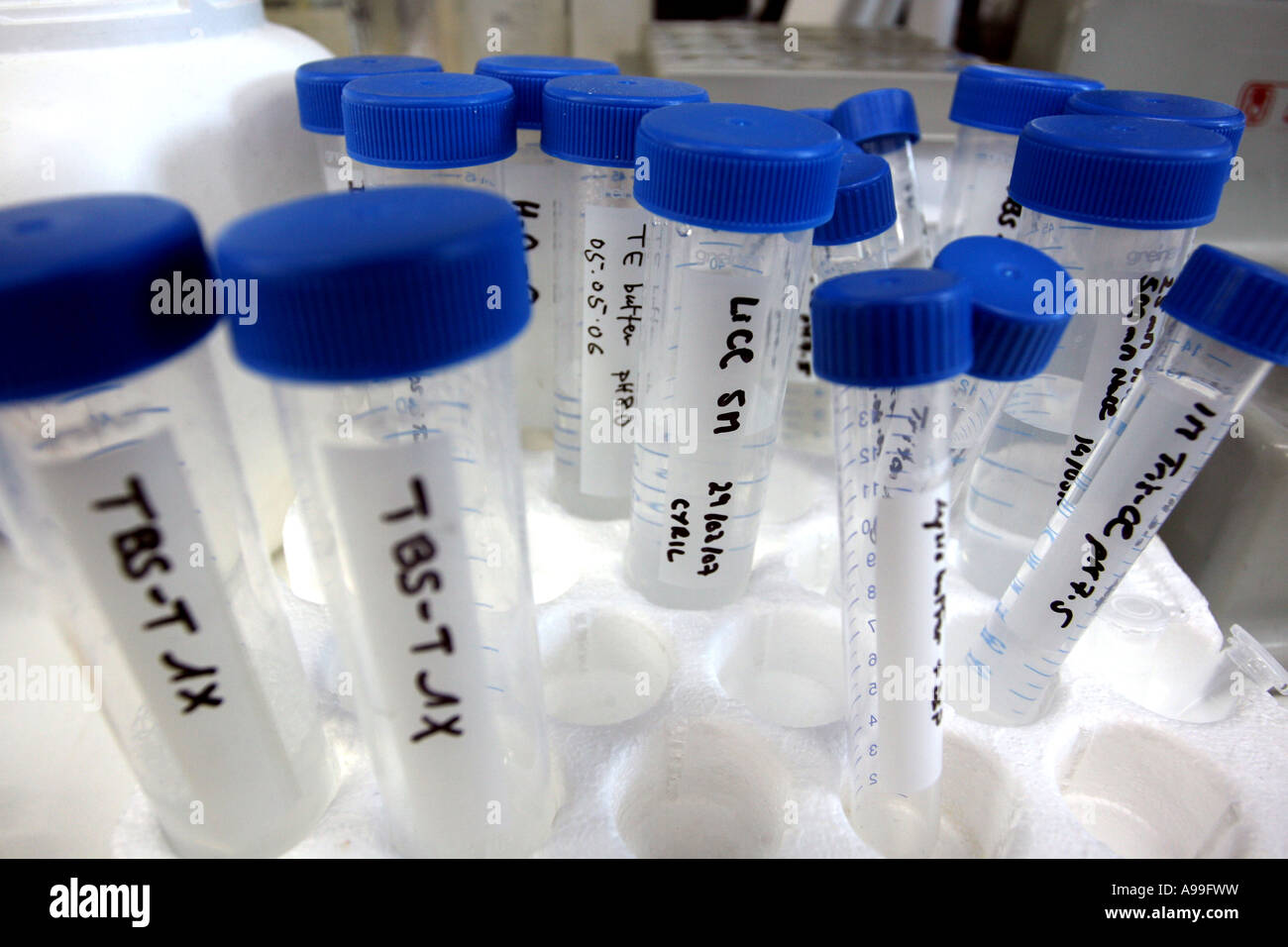 Bottles with blue lids in science lab Stock Photo - Alamy