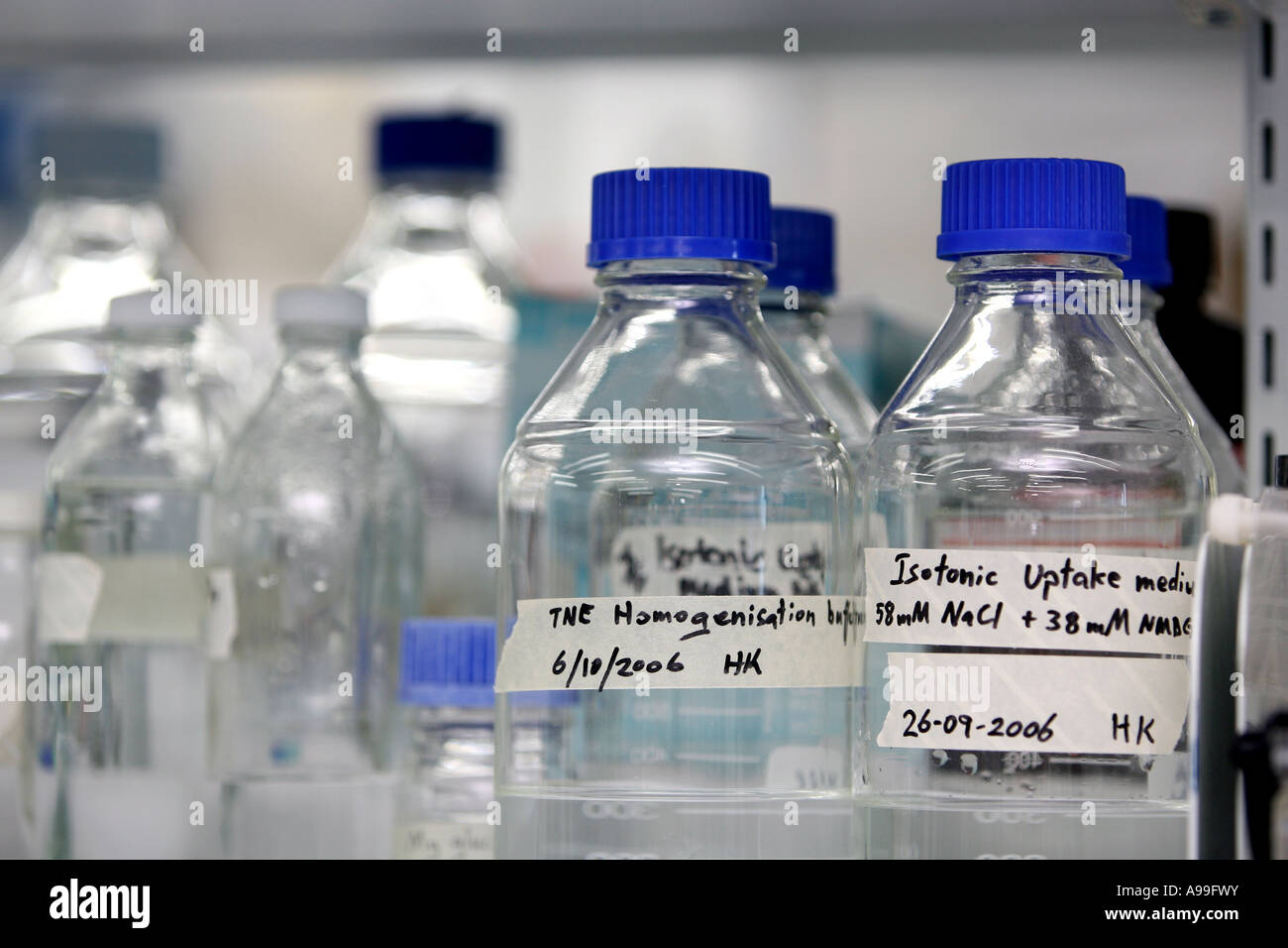 Bottles with blue lids in science lab Stock Photo - Alamy