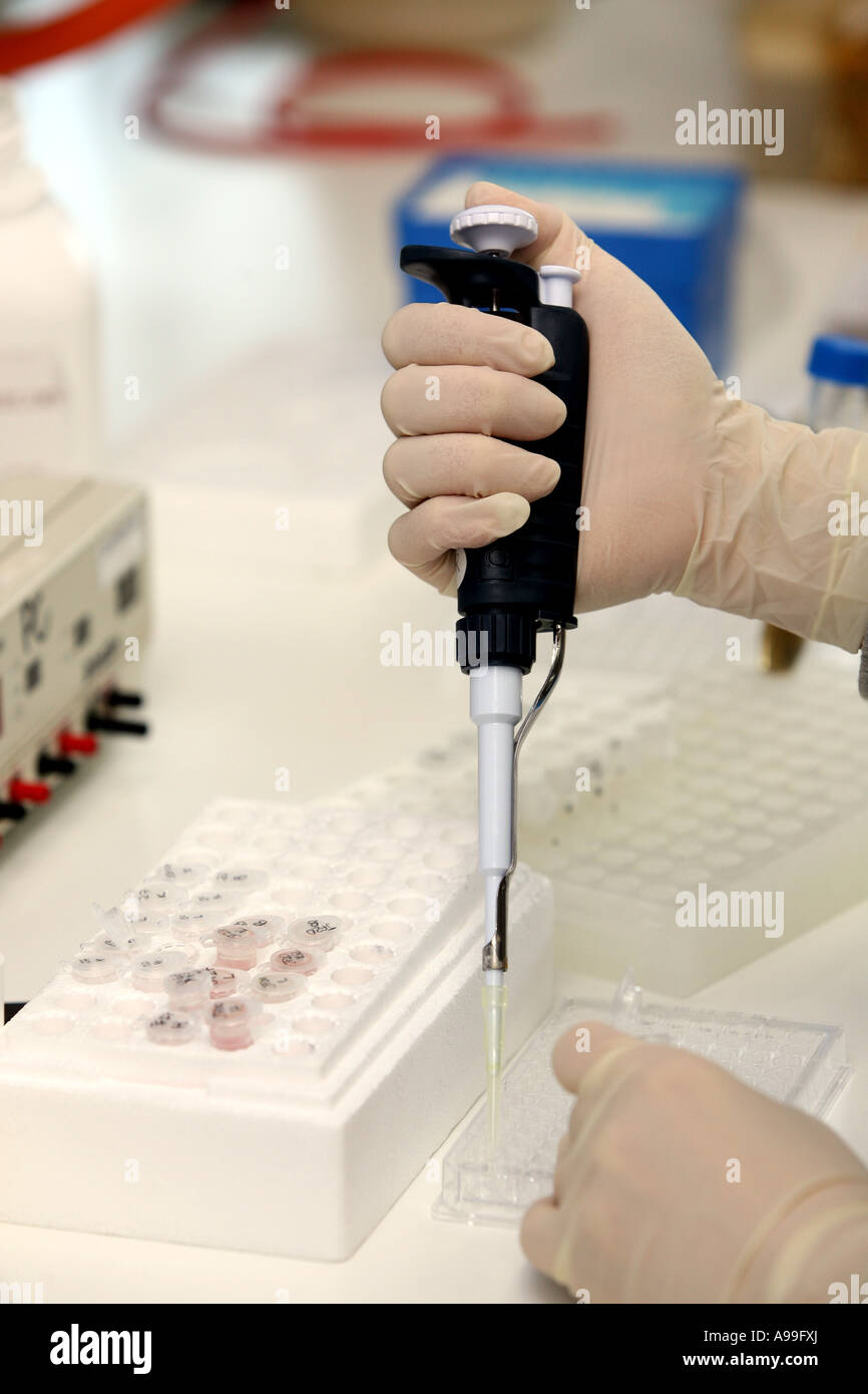 Hands using pipette in science lab Stock Photo - Alamy