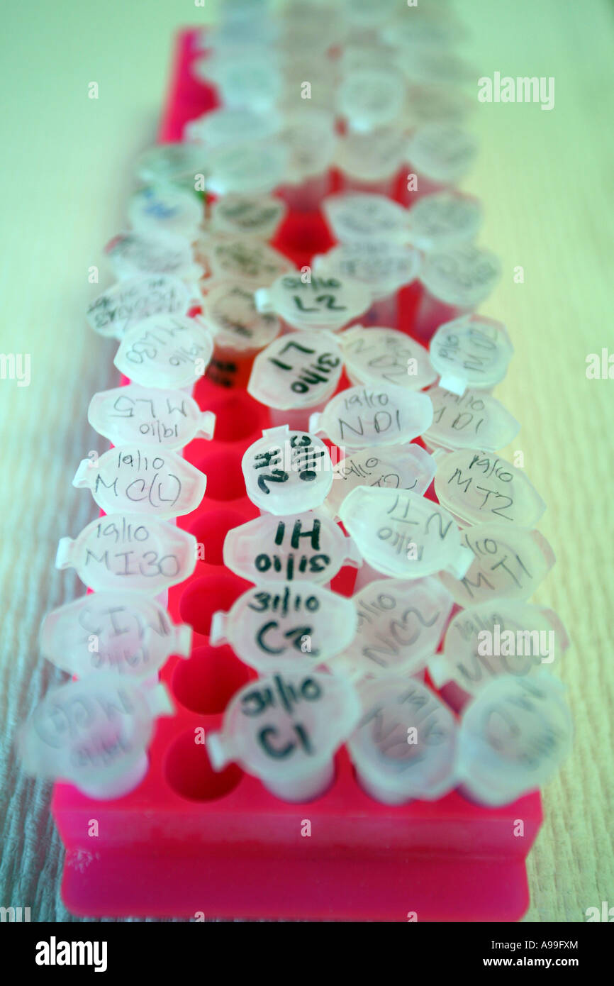 Micro biology vial hi-res stock photography and images - Alamy