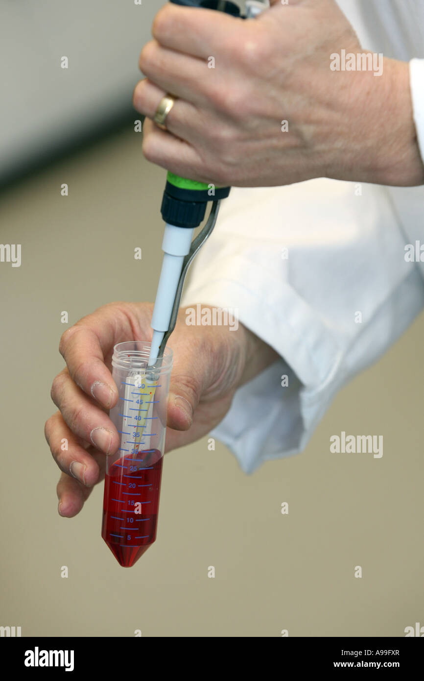 Hands using pipette in science lab Stock Photo - Alamy