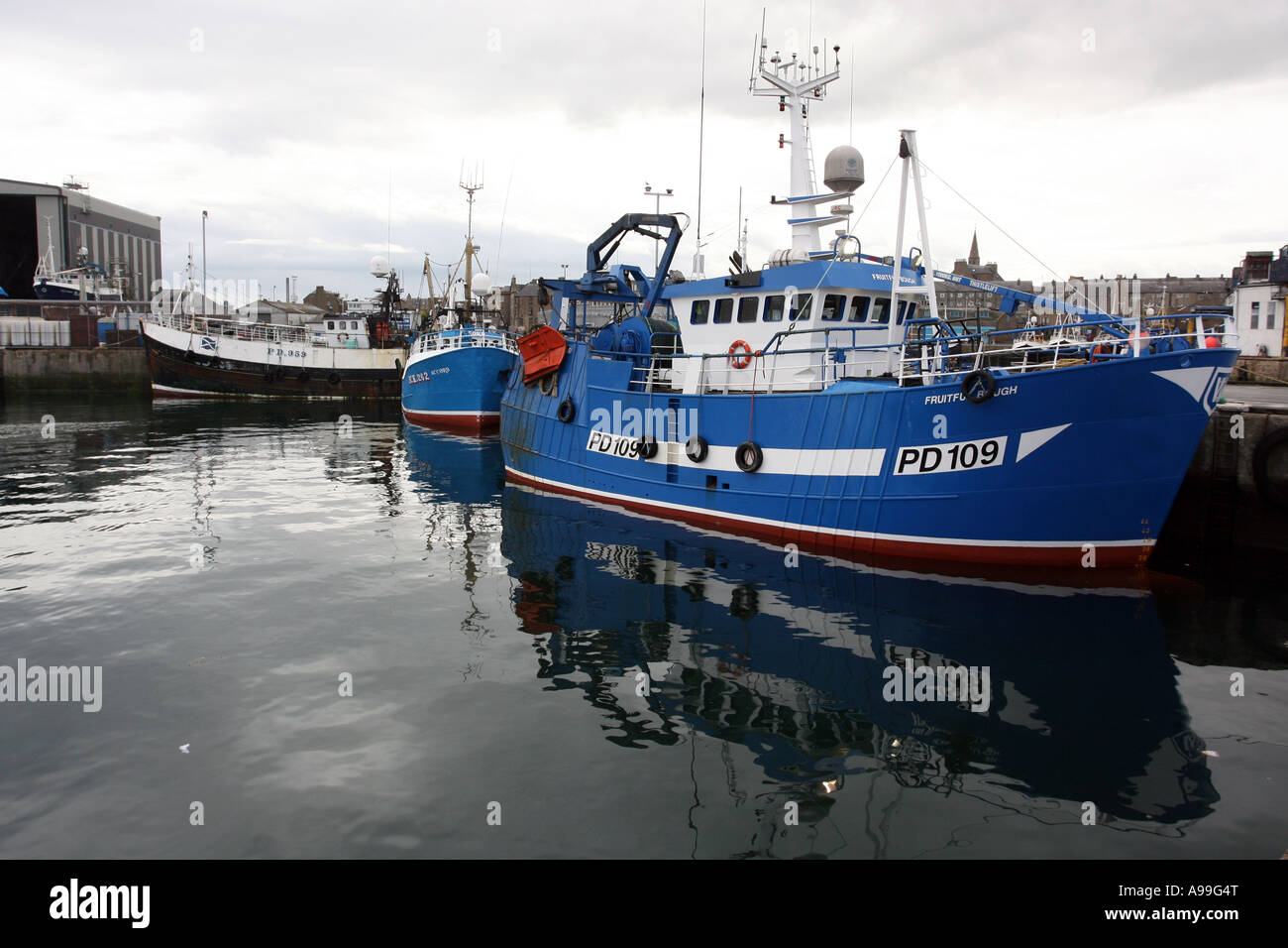 Peterhead fish cod hi-res stock photography and images - Alamy