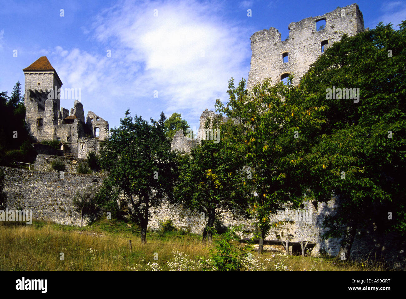 Slovenia grad kamen kamen castle hi-res stock photography and images ...