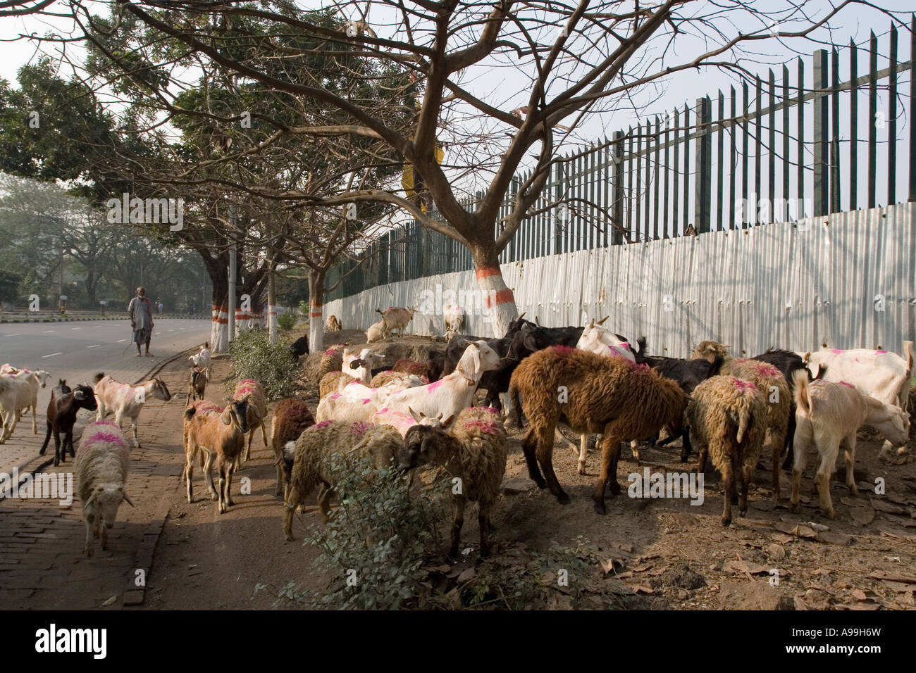 By the bay of bengal kalinga odisha the hirakud dam hi-res stock ...