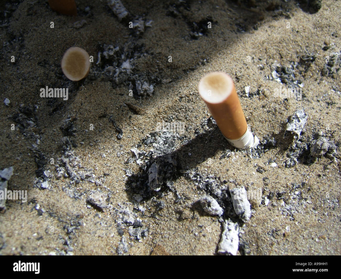 cigarette stubs in sand Stock Photo - Alamy