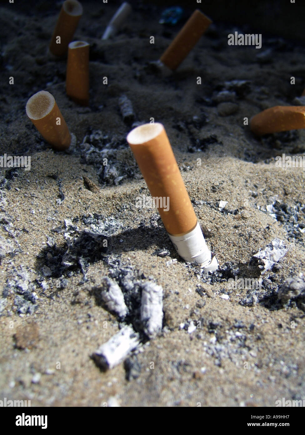 Cigarettes in sand ashtray hi-res stock photography and images - Alamy
