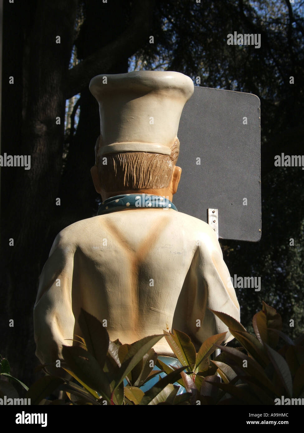 chef model in rome Stock Photo - Alamy