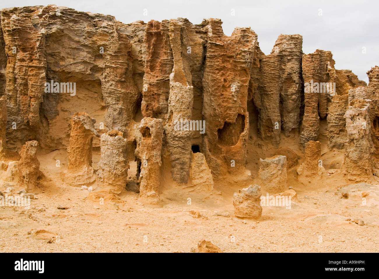 Limestone erosion at Bridgewater Bay, The Great Ocean Road Stock Photo ...