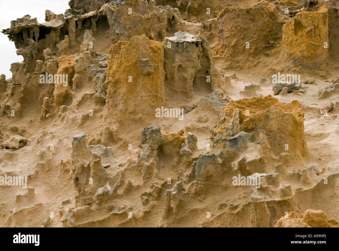 Limestone erosion at Bridgewater Bay, The Great Ocean Road Stock Photo ...