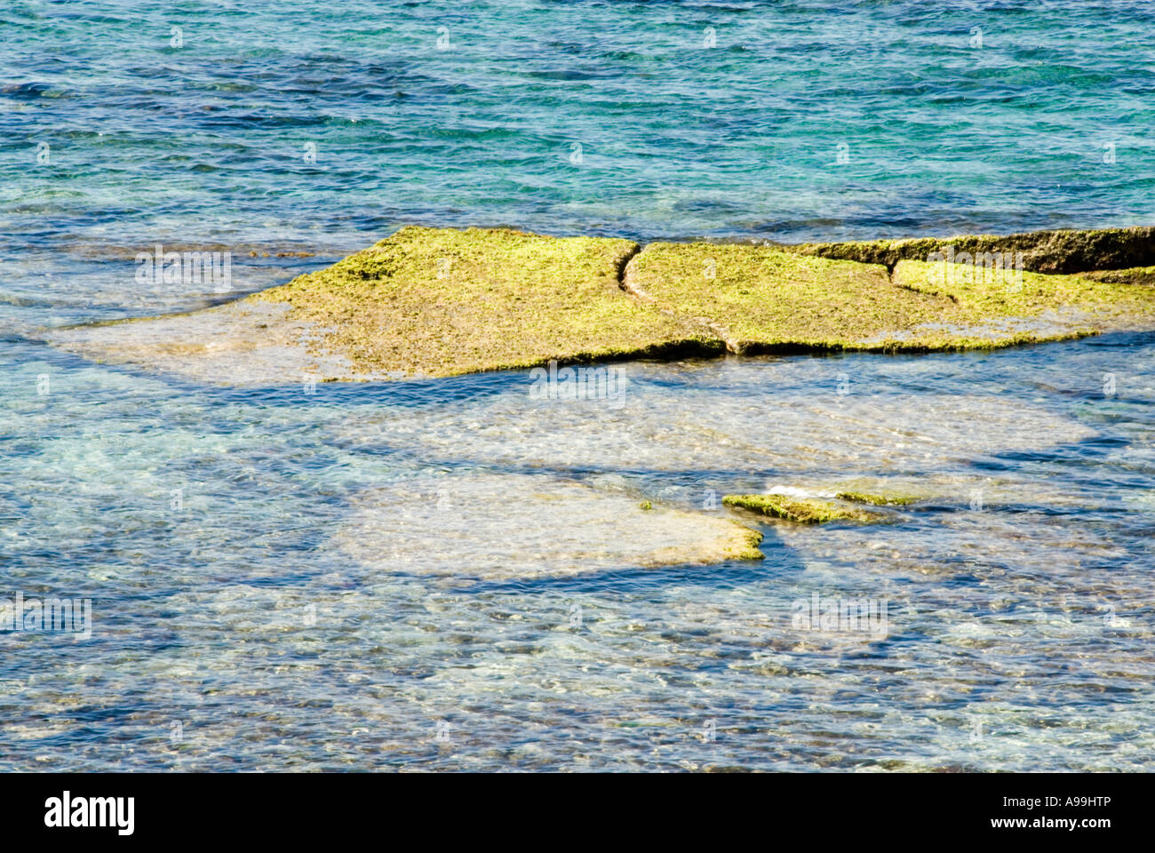 Middle Beach Lord Howe Island Stock Photo - Alamy