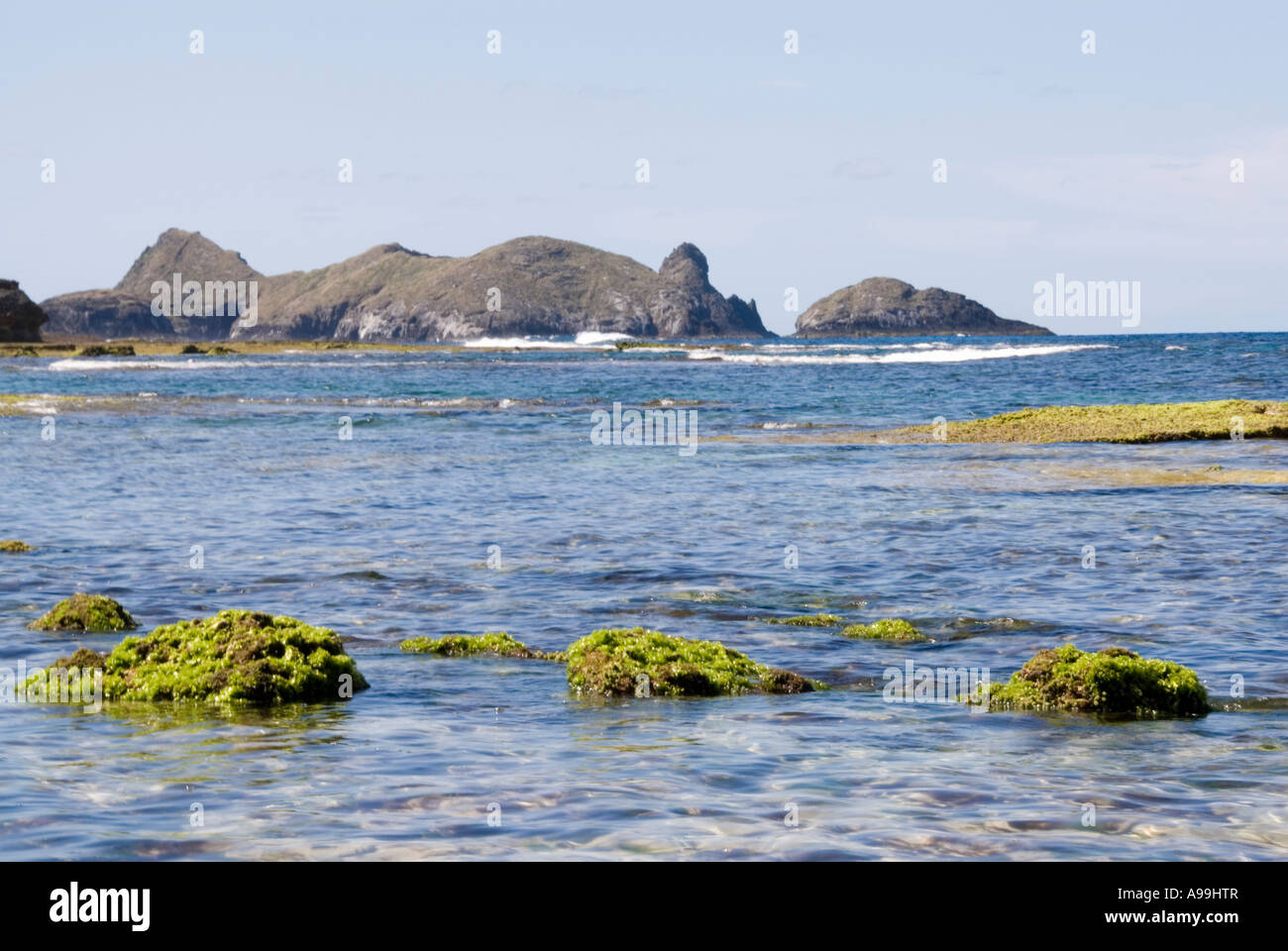 Middle Beach, Lord Howe Island Stock Photo - Alamy