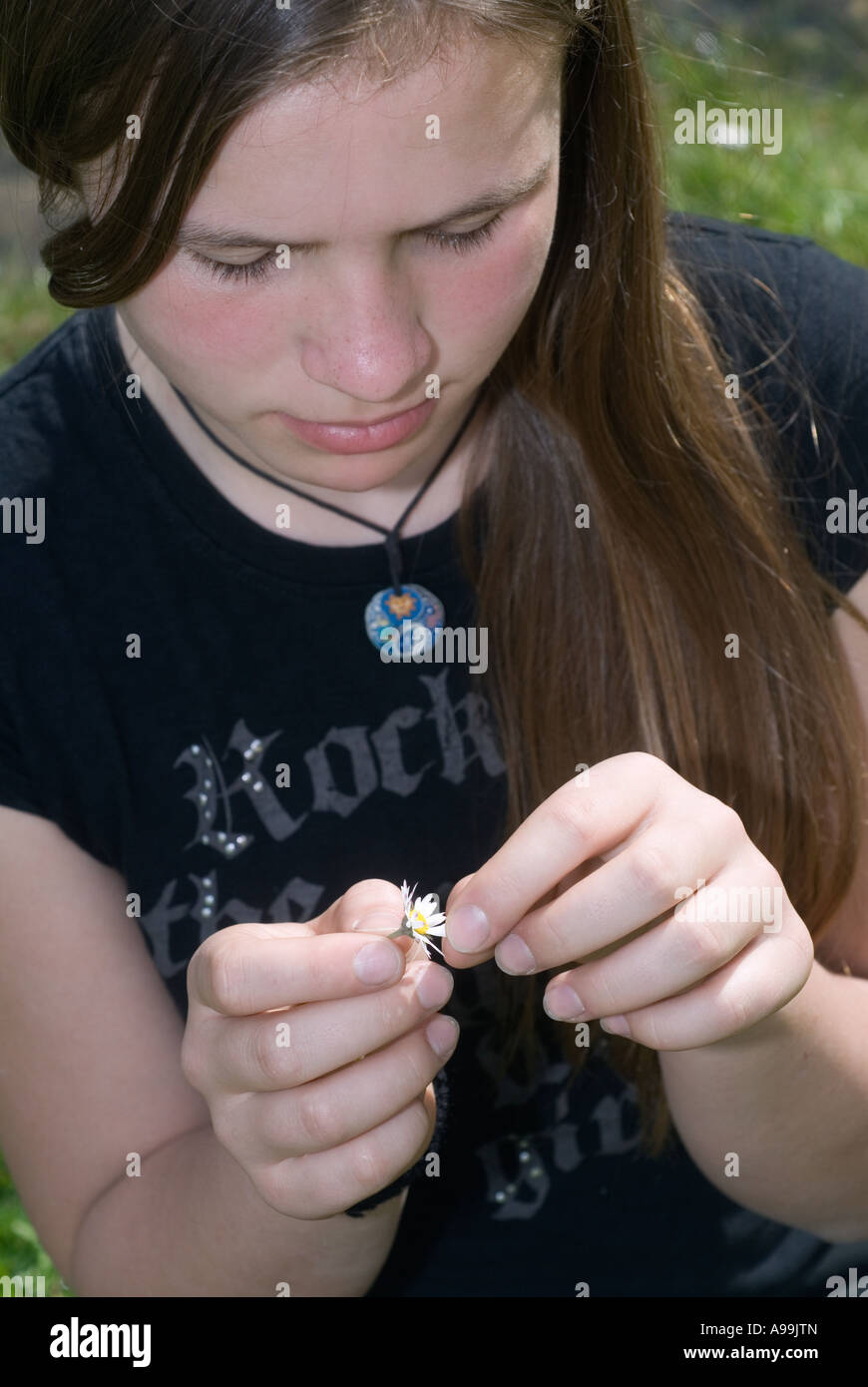 13 year old girl with daisy Stock Photo - Alamy