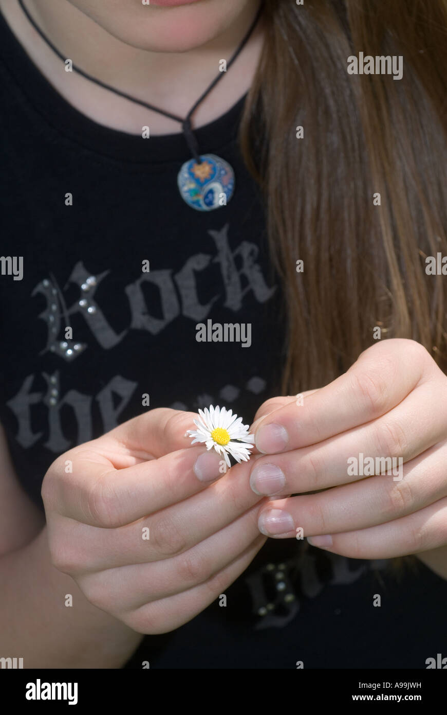 13 year old girl with daisy Stock Photo - Alamy