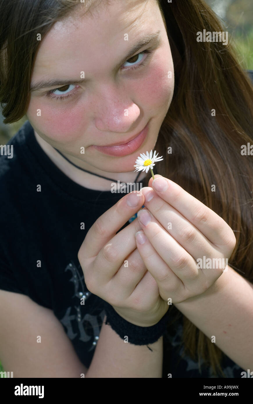 13 year old girl with daisy Stock Photo - Alamy
