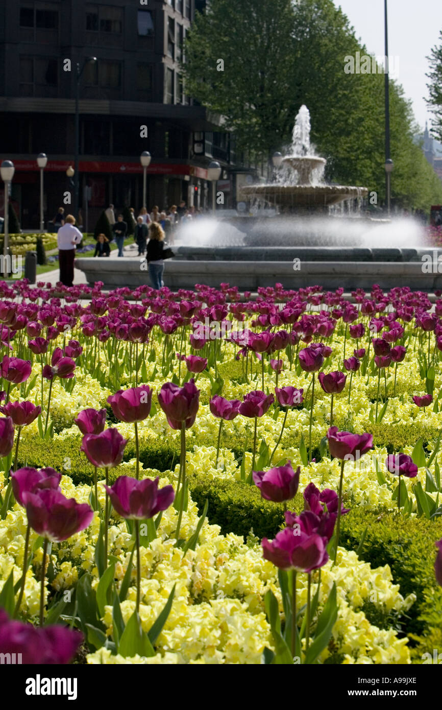 Spring flowers in the sunshine, Plaza Moyua, Bilbao Pais Vasco / Basque ...
