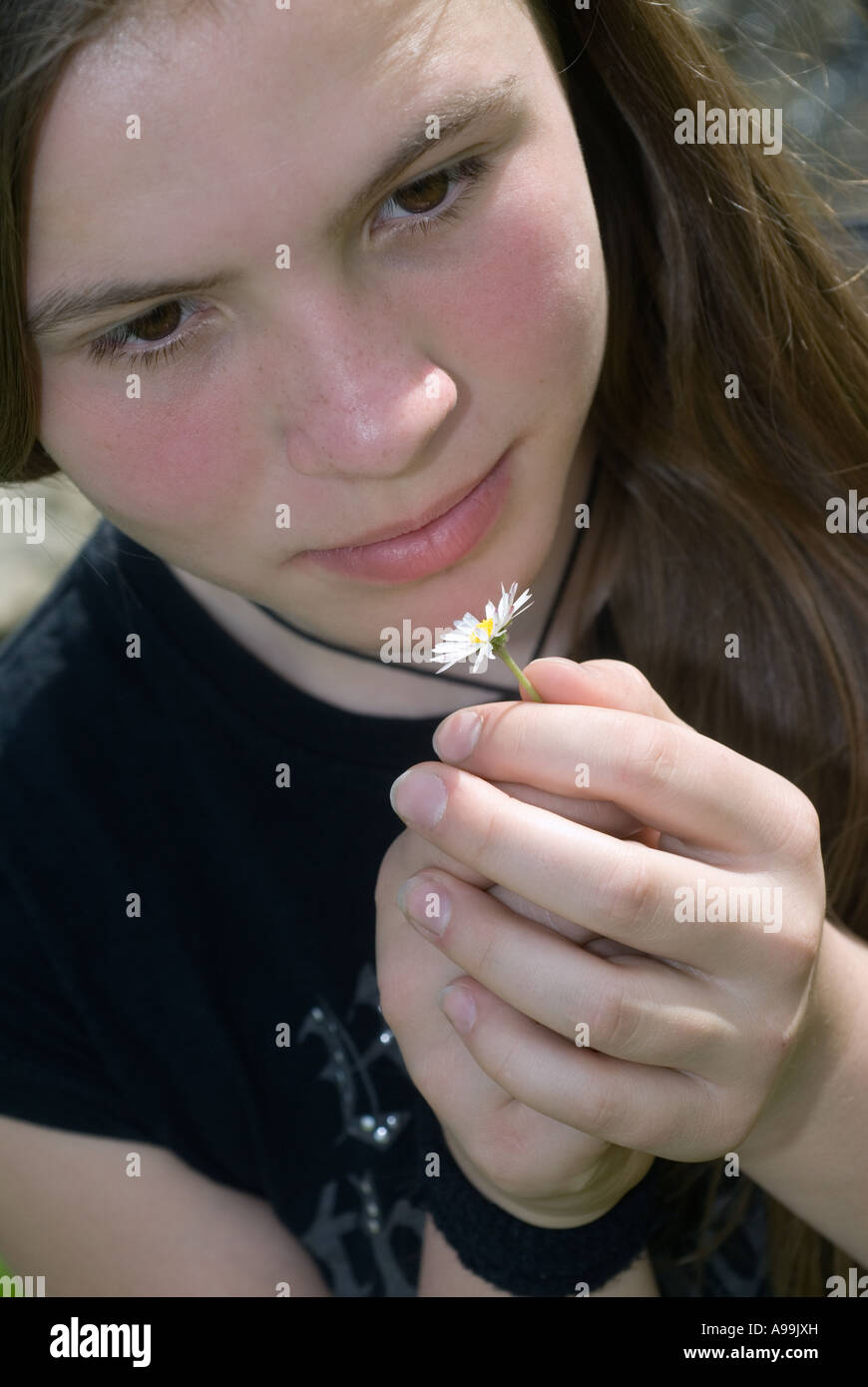 13 year old girl with daisy Stock Photo - Alamy
