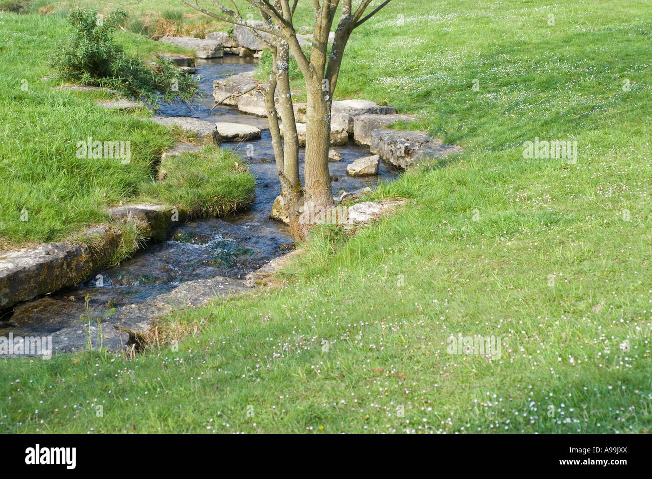 Green meadow with a winding brook Stock Photo - Alamy