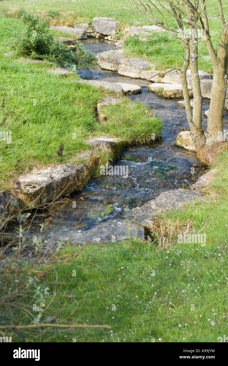 Green meadow with a winding brook Stock Photo - Alamy
