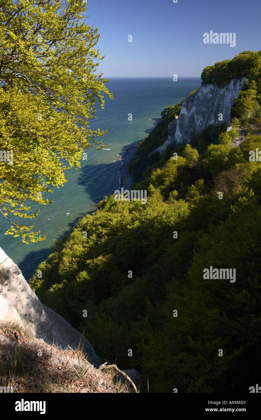 The chalk cliffs of Königstuhl on the island of Rügen in the Jasmund ...