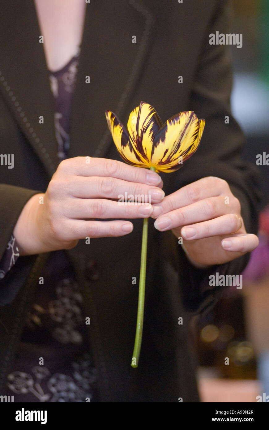 Judge judging flower show competition checking an old fashioned English ...