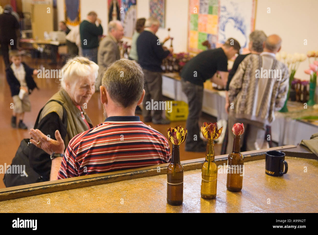 Flaming club tulip hi-res stock photography and images - Alamy
