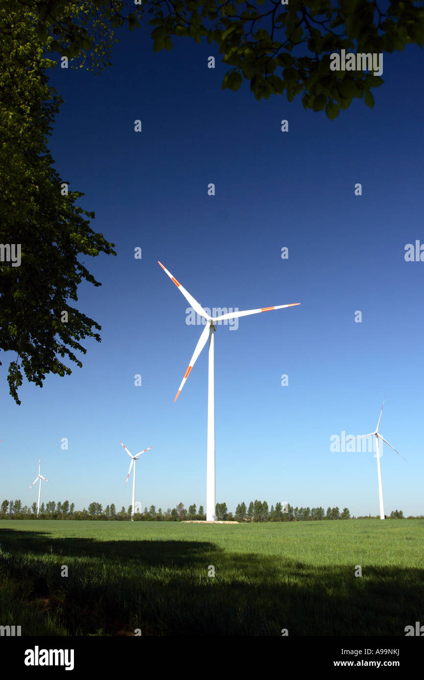 Wind turbines in Brandenburg in north Germany Stock Photo - Alamy