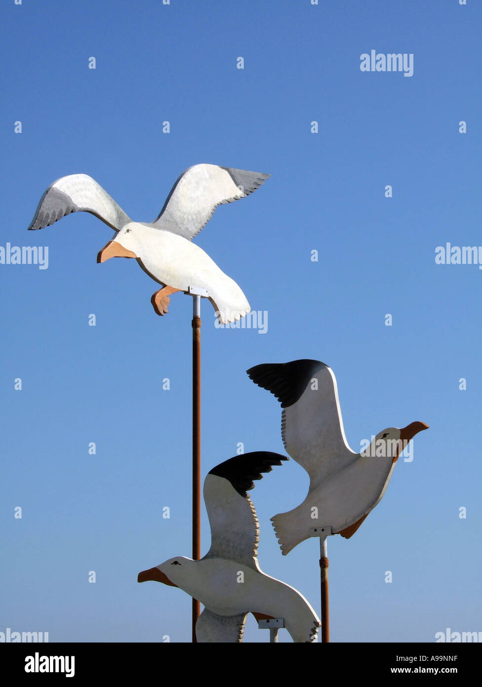Flying bird models hi-res stock photography and images - Alamy