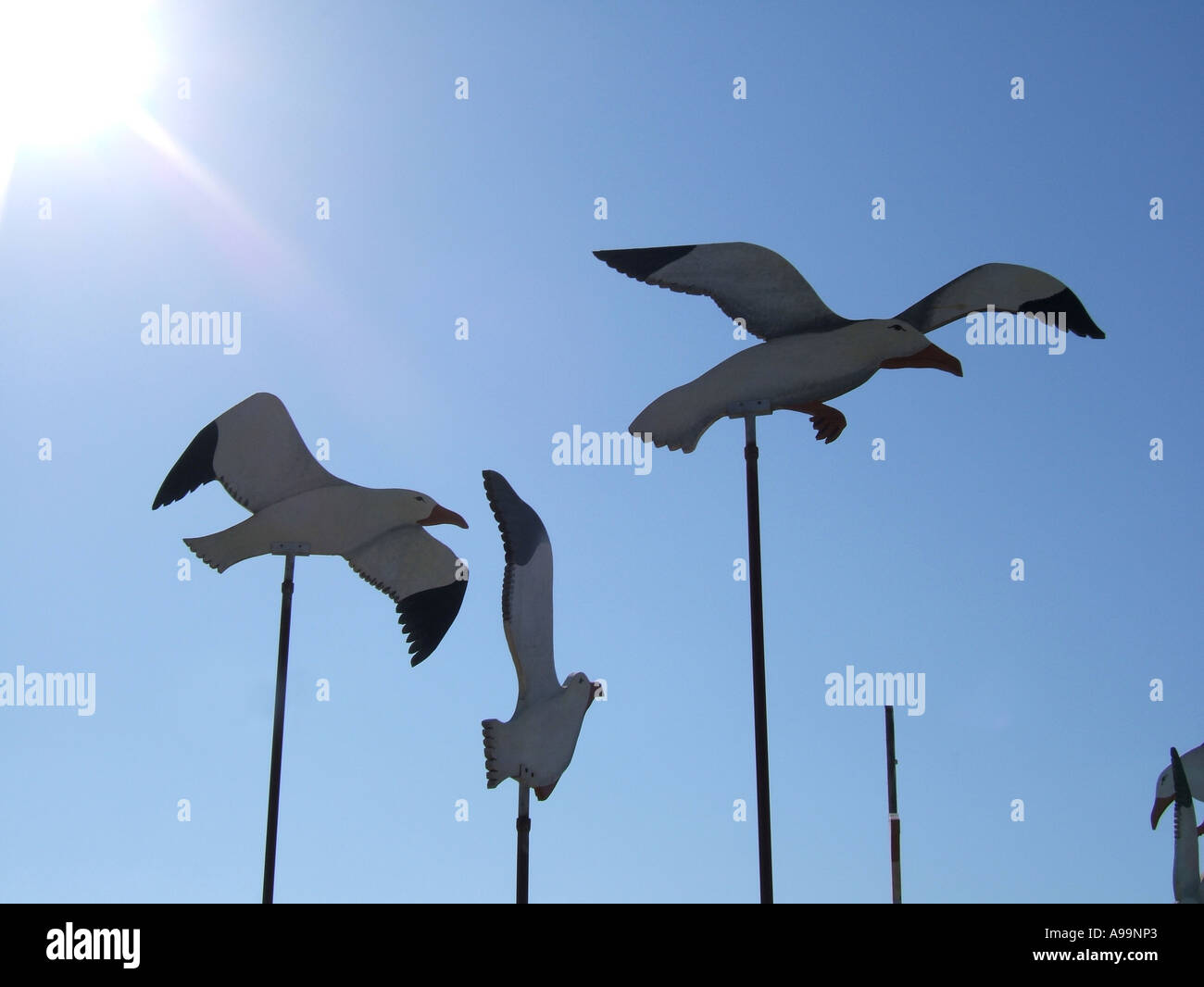 Flying bird models hi-res stock photography and images - Alamy