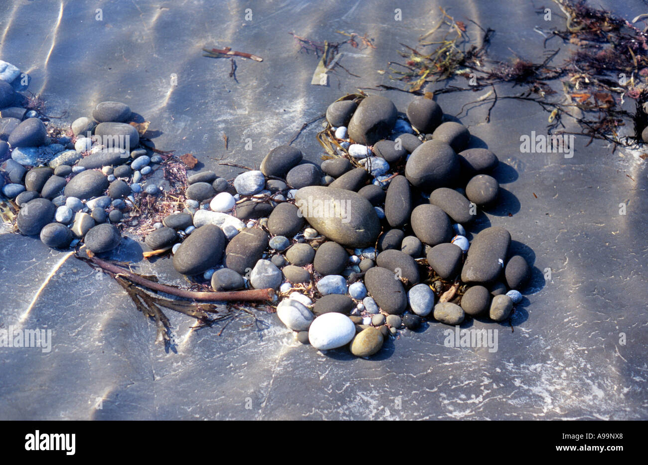 Rockpool rocks underwater hi-res stock photography and images - Alamy
