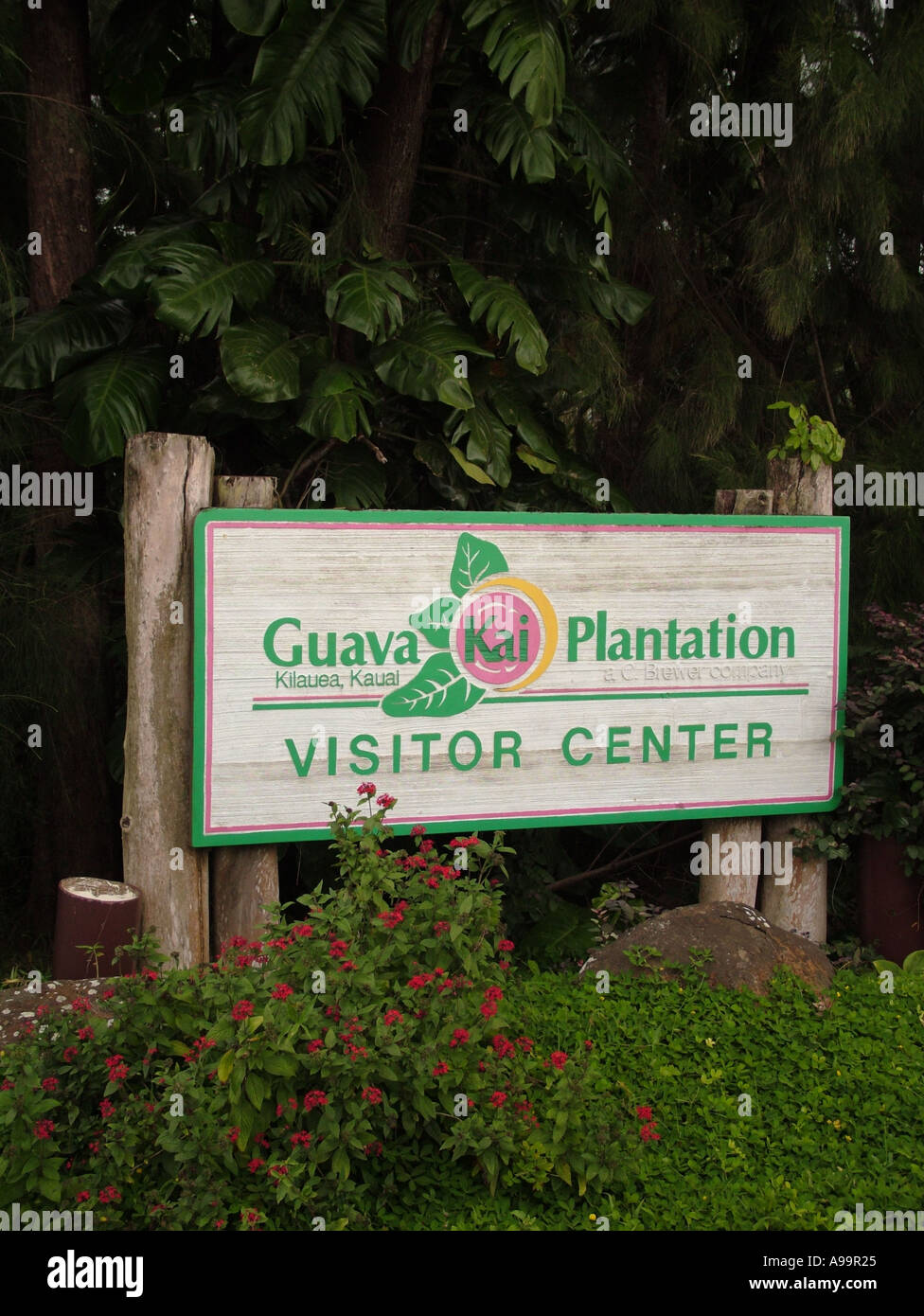 Guava kai plantation hi-res stock photography and images - Alamy