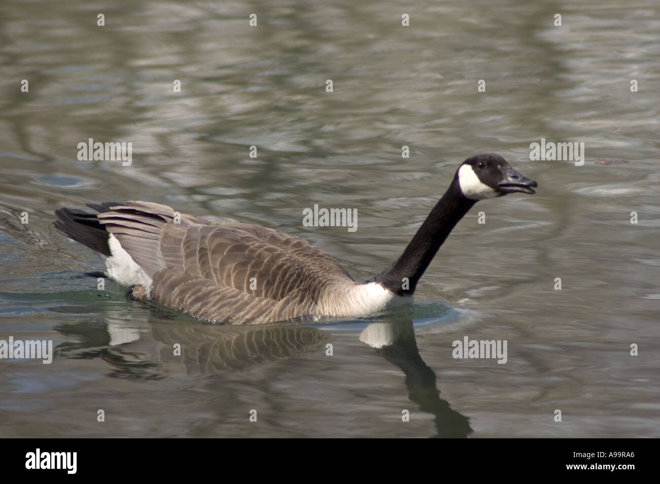 Jon chase hi-res stock photography and images - Alamy