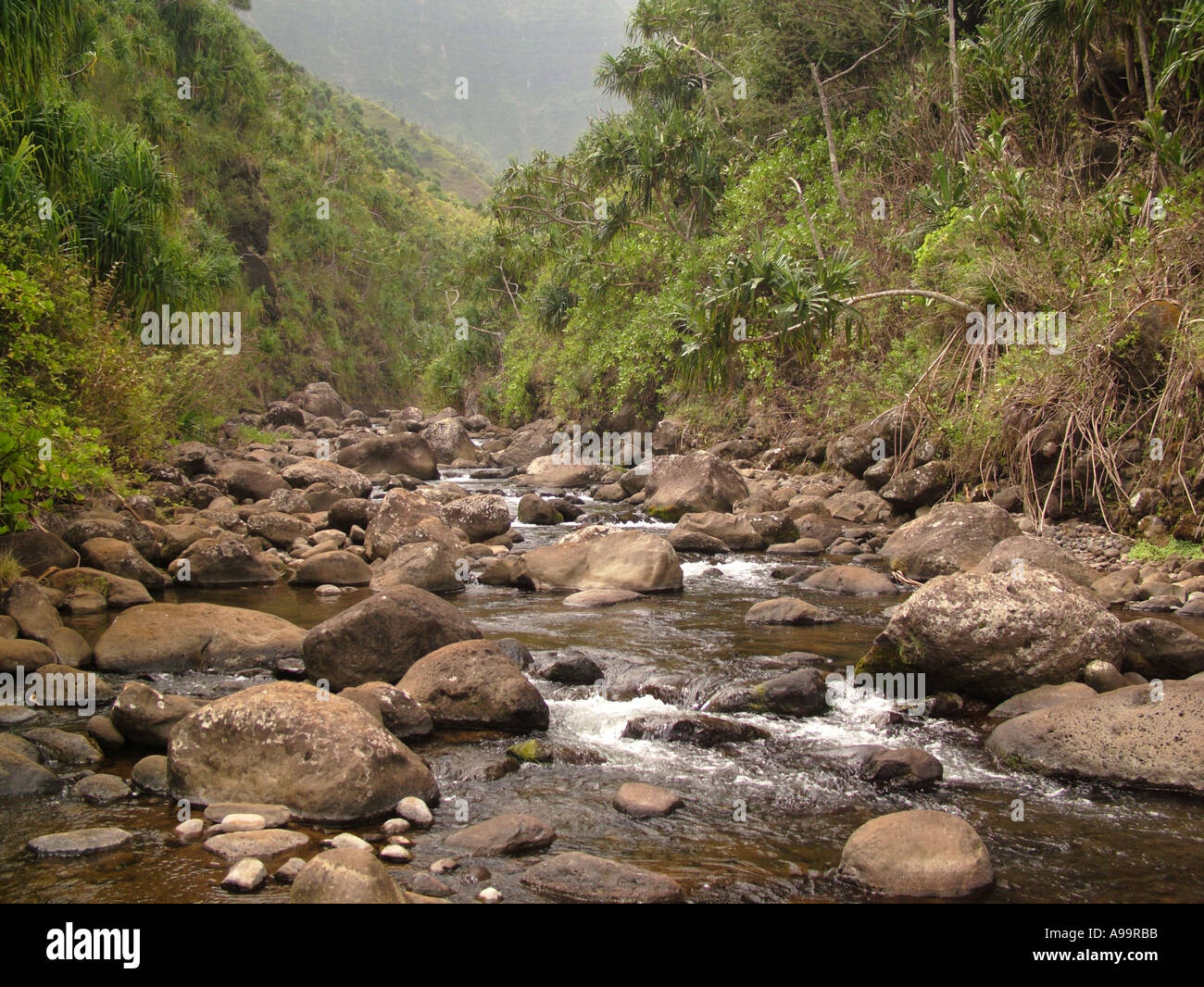 Hawaiian rivers hi-res stock photography and images - Alamy