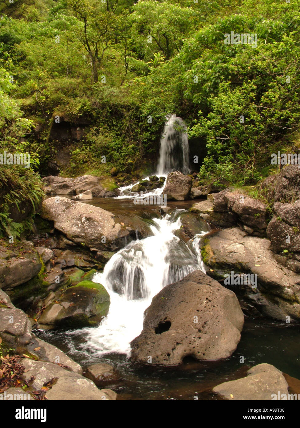Hawaiian rivers hi-res stock photography and images - Alamy