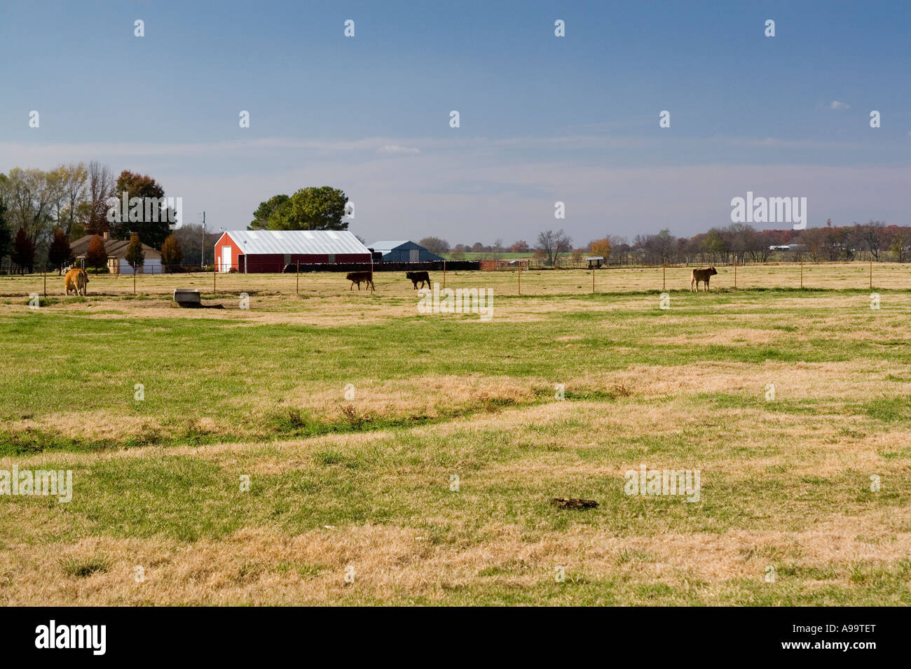 Oklahoma usa agriculture hi-res stock photography and images - Alamy