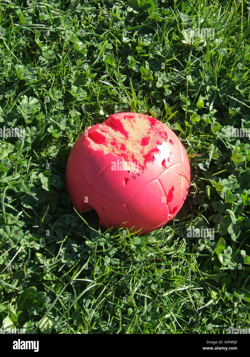damaged red plastic ball in field Stock Photo - Alamy