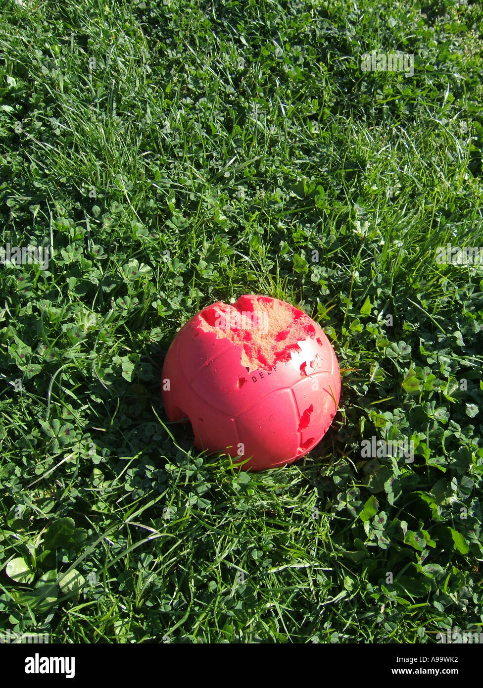 damaged red plastic ball in field Stock Photo - Alamy