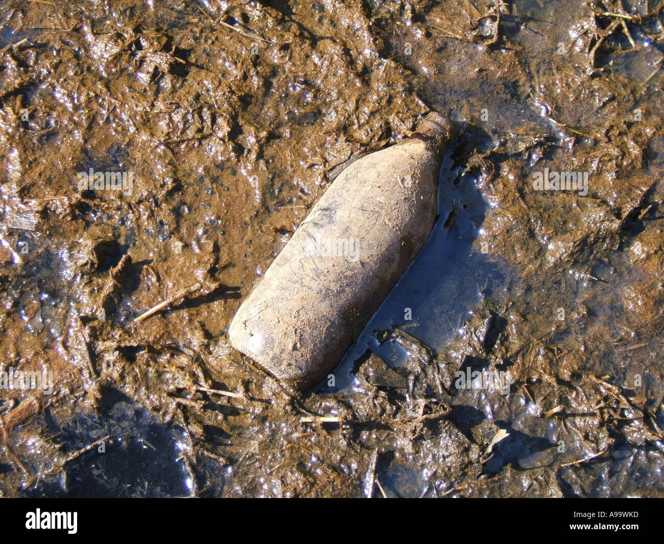 one bottle in mud Stock Photo - Alamy