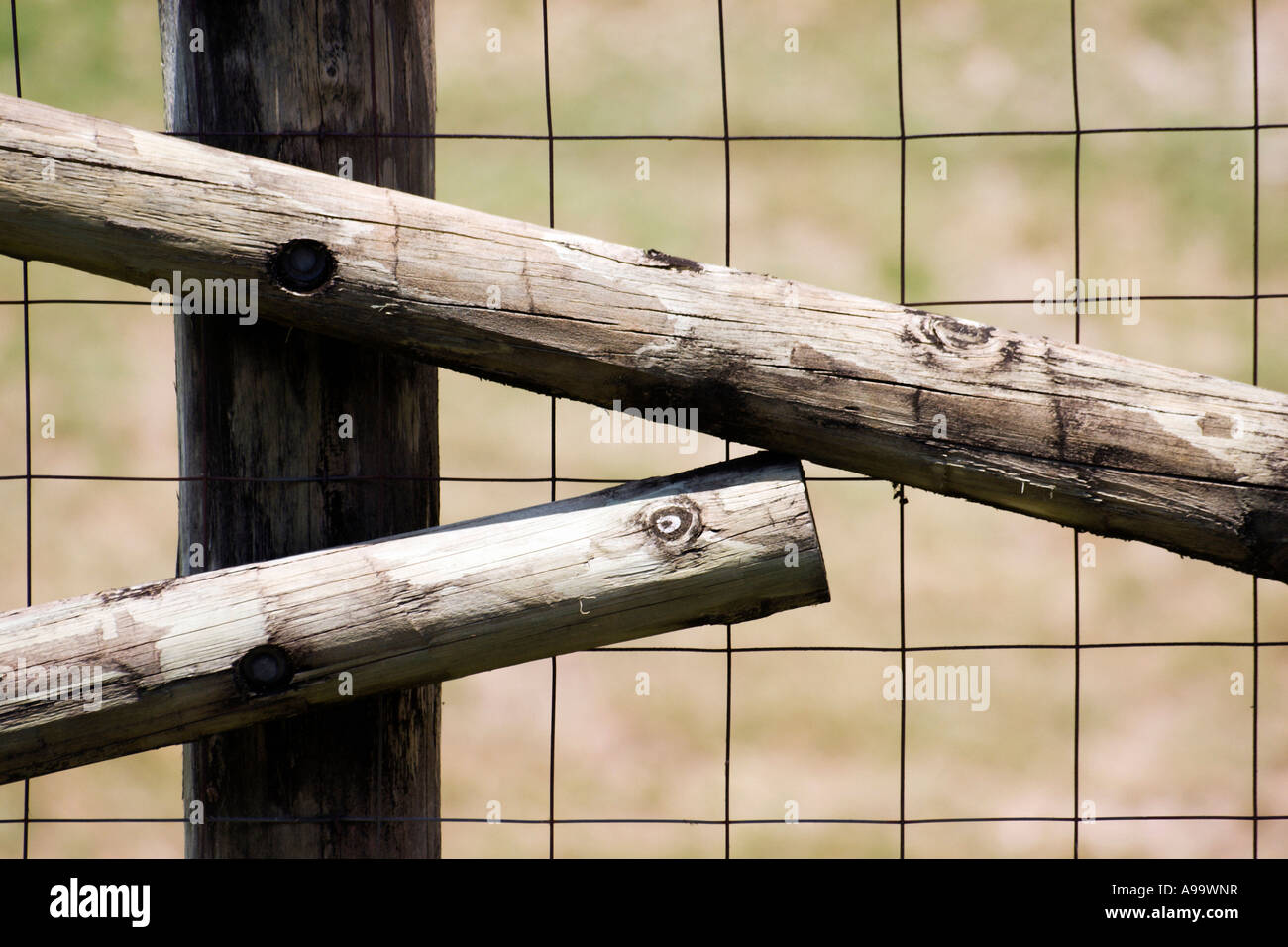 Fence support hi-res stock photography and images - Alamy