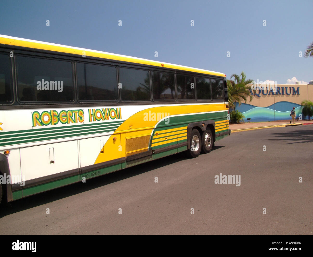 Maui bus hi-res stock photography and images - Alamy