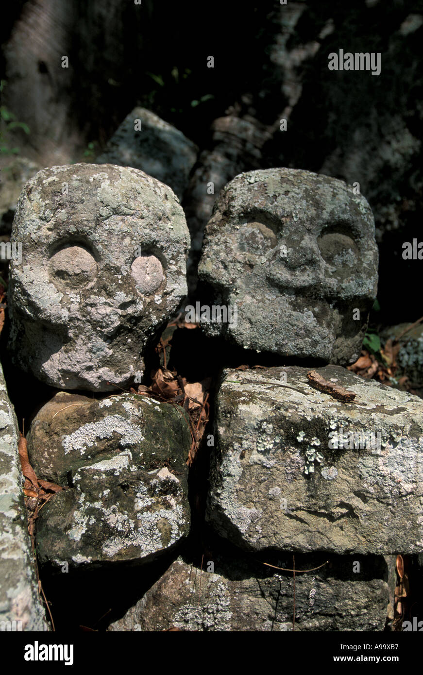 Honduras Copan Ruinas vertical Mayan ruins stone skulls temple 7 death ...