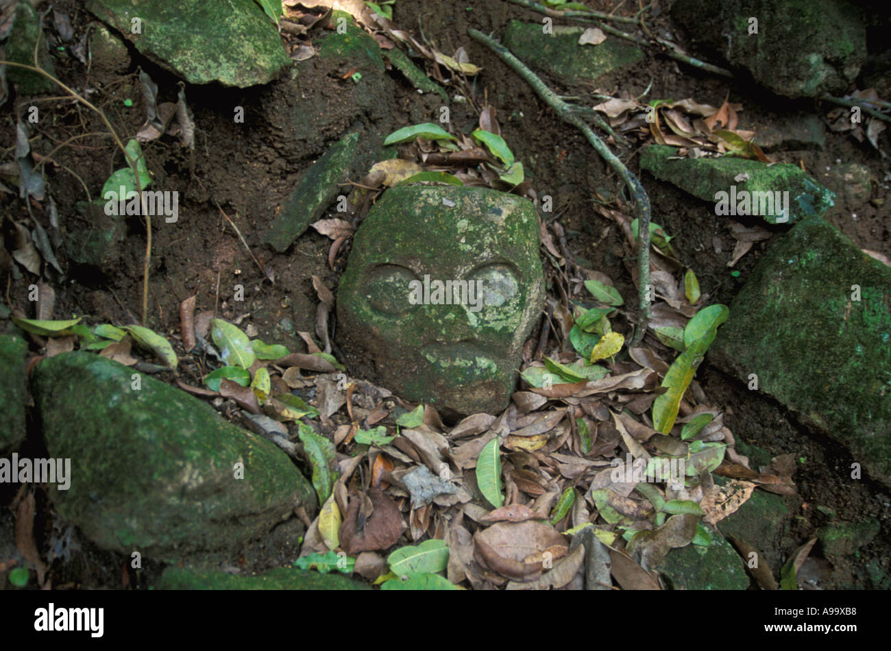 Honduras Copan Ruinas horizontal Mayan ruins stone skull Temple 7 Mayan ...