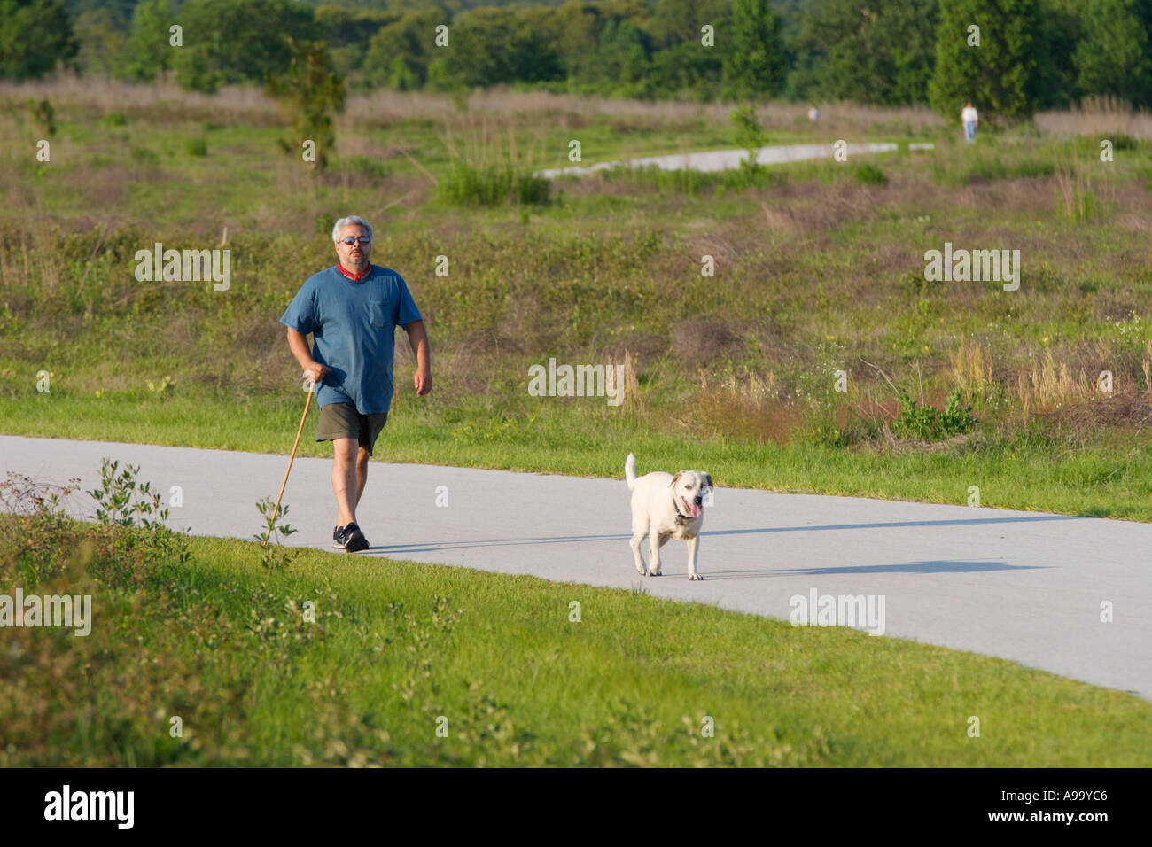 Man walking the dog hi-res stock photography and images - Alamy