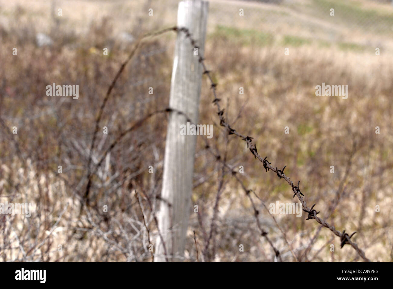 Broken down barb wire fence Stock Photo - Alamy