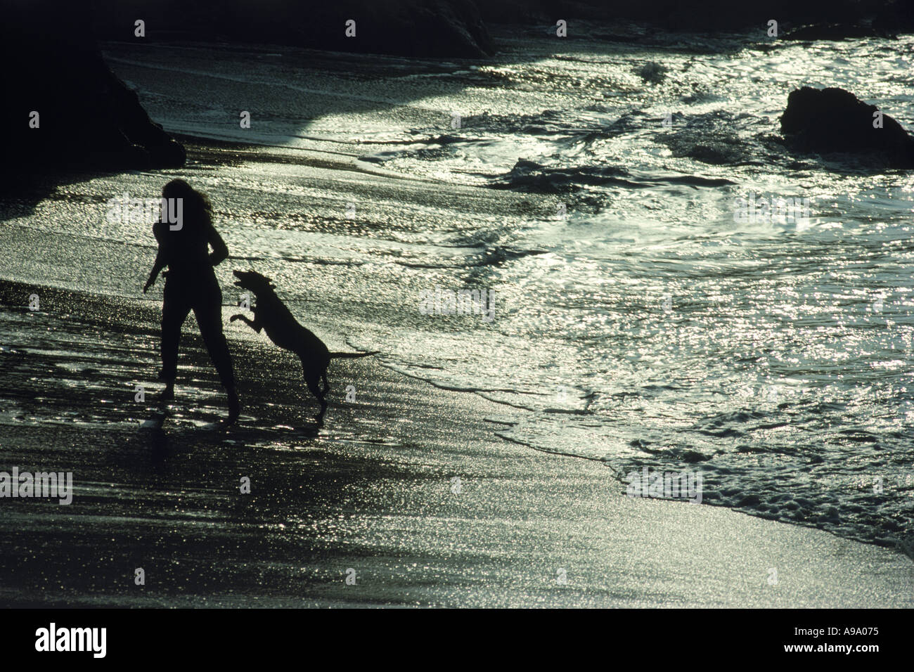 Silhouette dog jumping hi-res stock photography and images - Alamy
