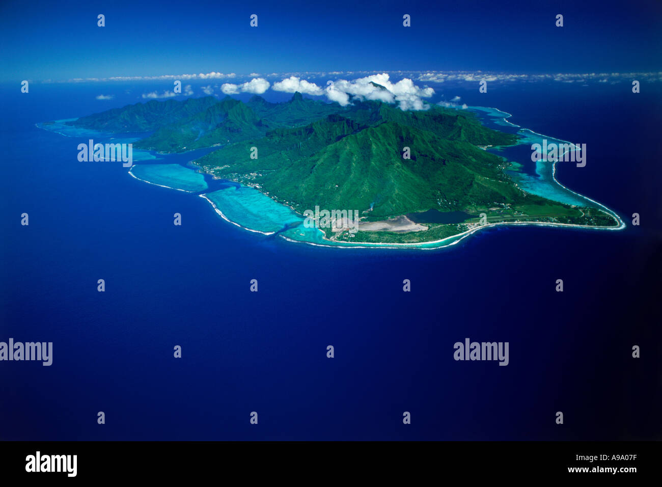Aerial view of Moorea Island swimming between blue skies and blue ...