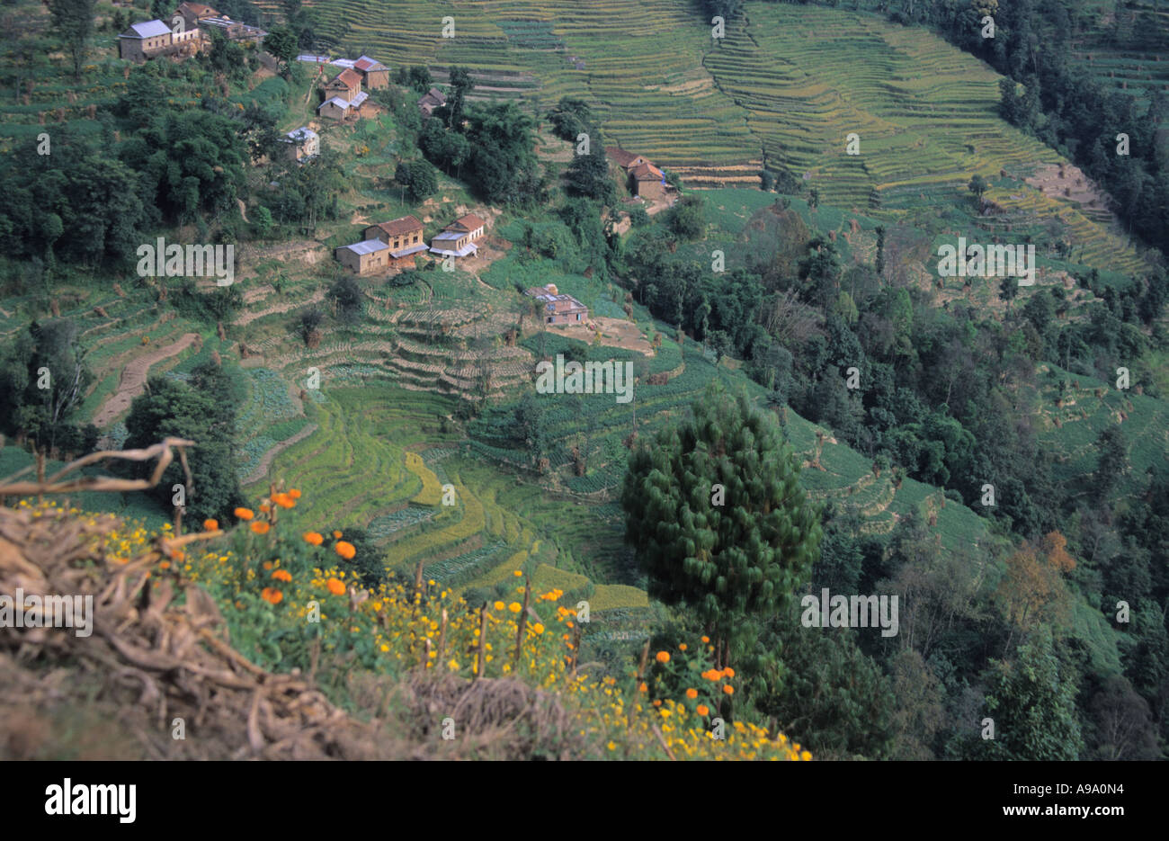 Nepali houses on hillside terraces in Kathmandu valley Nepal Stock ...